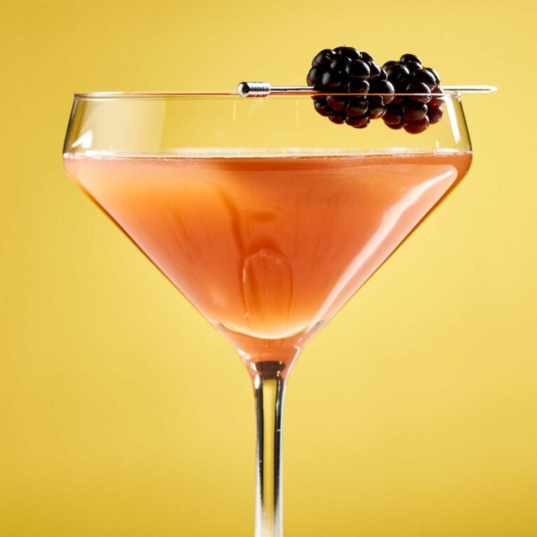 LEROUX® Jeżynówka Polish Blackberry Flavored Brandy • Leroux